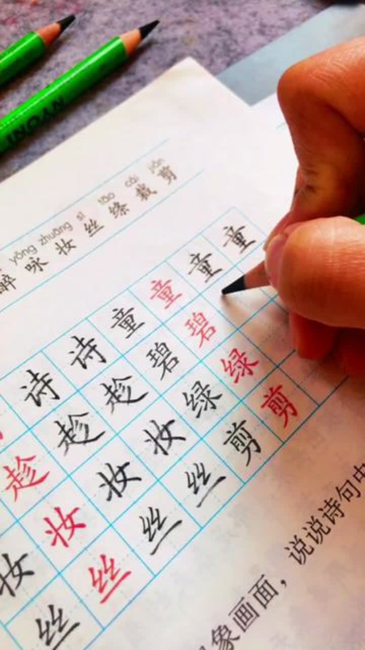 二年级下册生字硬笔书法每天坚持练字小学语文
