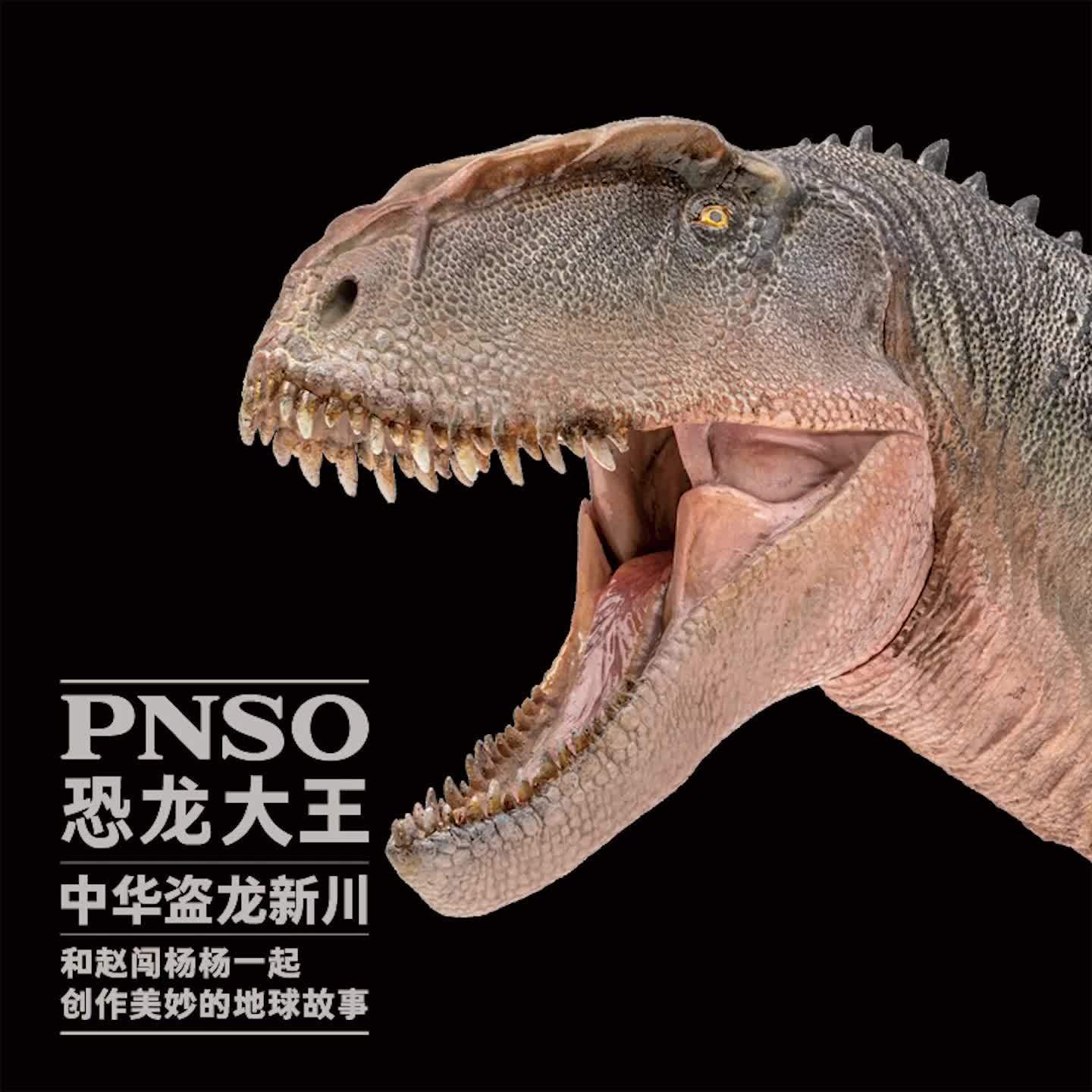 PNSO恐龙大王成长陪伴模型 中华盗龙新川