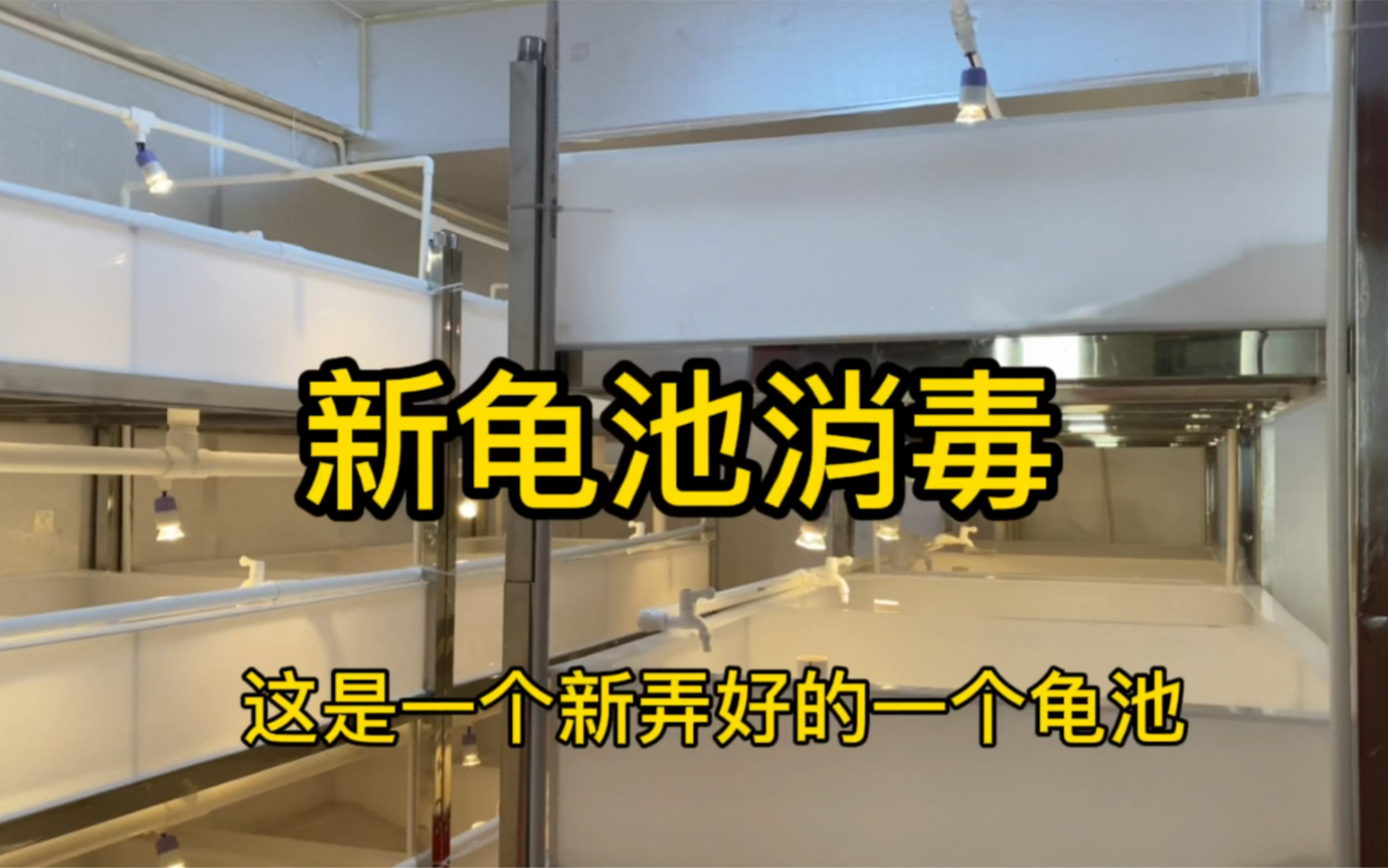 分享正在消毒的新龟池