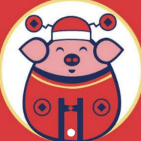 维他命猪 