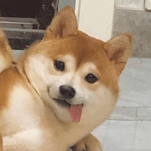 Pings太菜了 