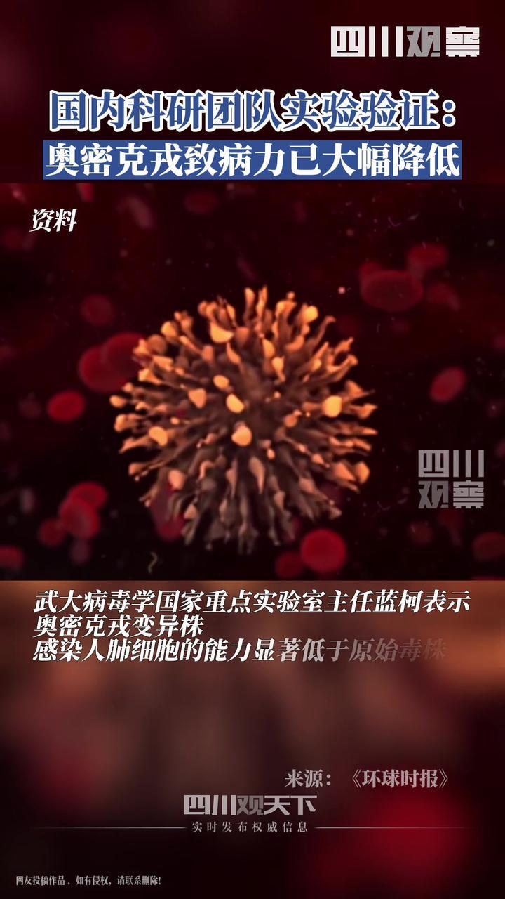 ...已大幅降低 在疫苗的保护下,新冠病毒对人体的危害性已经大不如前。