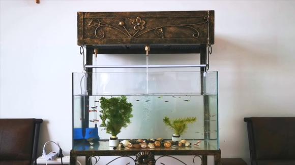 自制鱼缸顶部过滤系统,花费不到50元,原理可用在下沉式鱼池