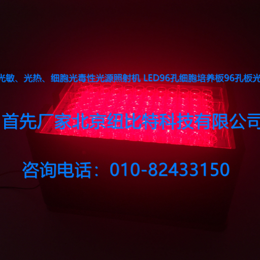 北京纽比特光源厂家 