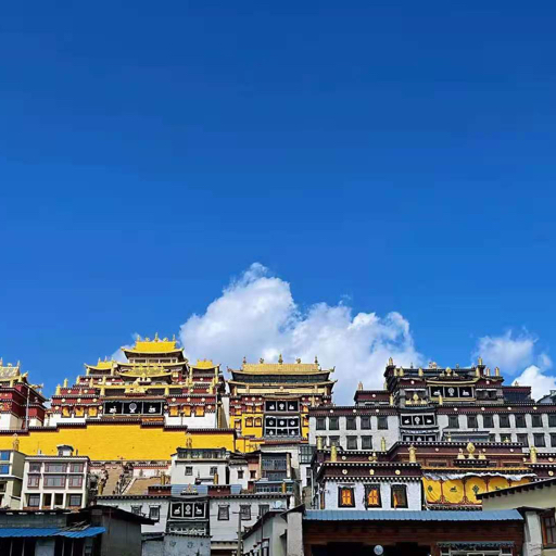 一个爱学知识的人 