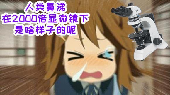 慎入!人类鼻涕在2000倍显微镜下是啥样子的呢!静观思禅 微观世界