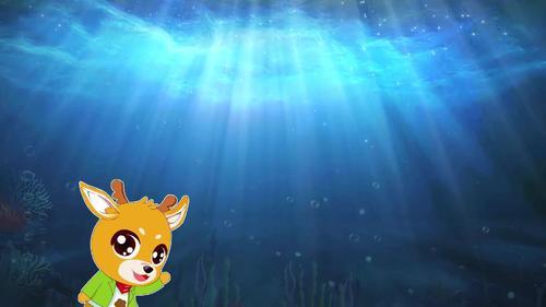 趣味识动物:海底世界都会有什么动物呢?学习认识斑马鲨等动物