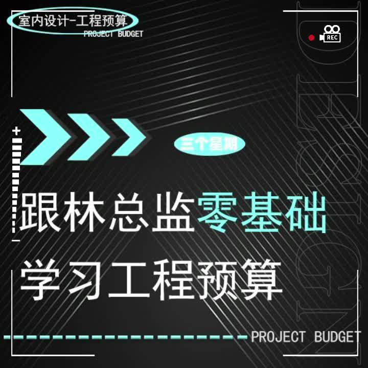 跟林总监零基础学习工程预算 4节 抖音同款视频课程