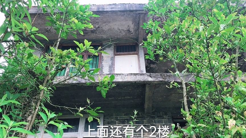 乡村公路旁一栋破旧的房屋,听当地人说,曾经5000元都卖不出去