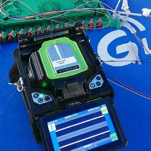 六只熊剪辑摄影 