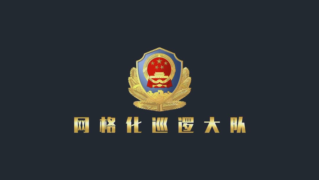 网格化巡逻大队宣传片