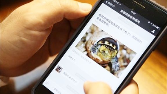 微信自带的拍照是没有美颜功能的,想拍美美的照片,可以这样操作