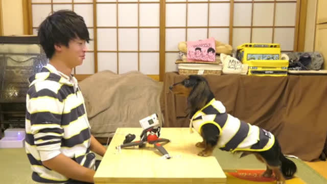 日本小伙模仿狗狗,整个实验看下来,网友直呼是狗本尊没错