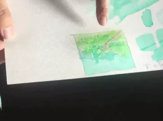 w水彩画提高级课程 前期学习内容重点和疑点讲解2019-11-5