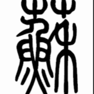 晓苏--费登奎斯体系婴儿动作 