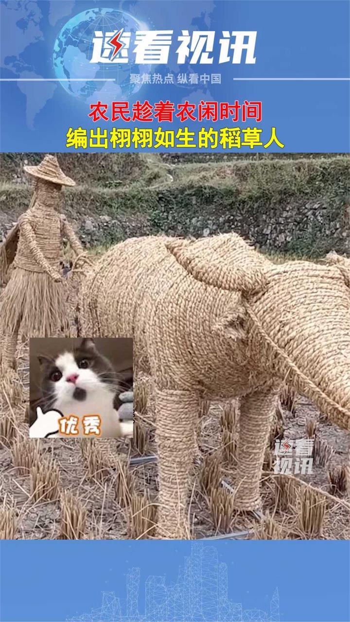农民趁着农闲时间,编出栩栩如生的稻草人