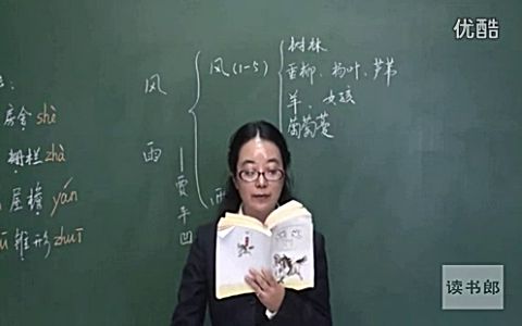 初中七年级上册第13课 风雨(初中语文黄冈名师课堂同步教学实录)