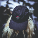 乌克丽丽丽丽☀ 