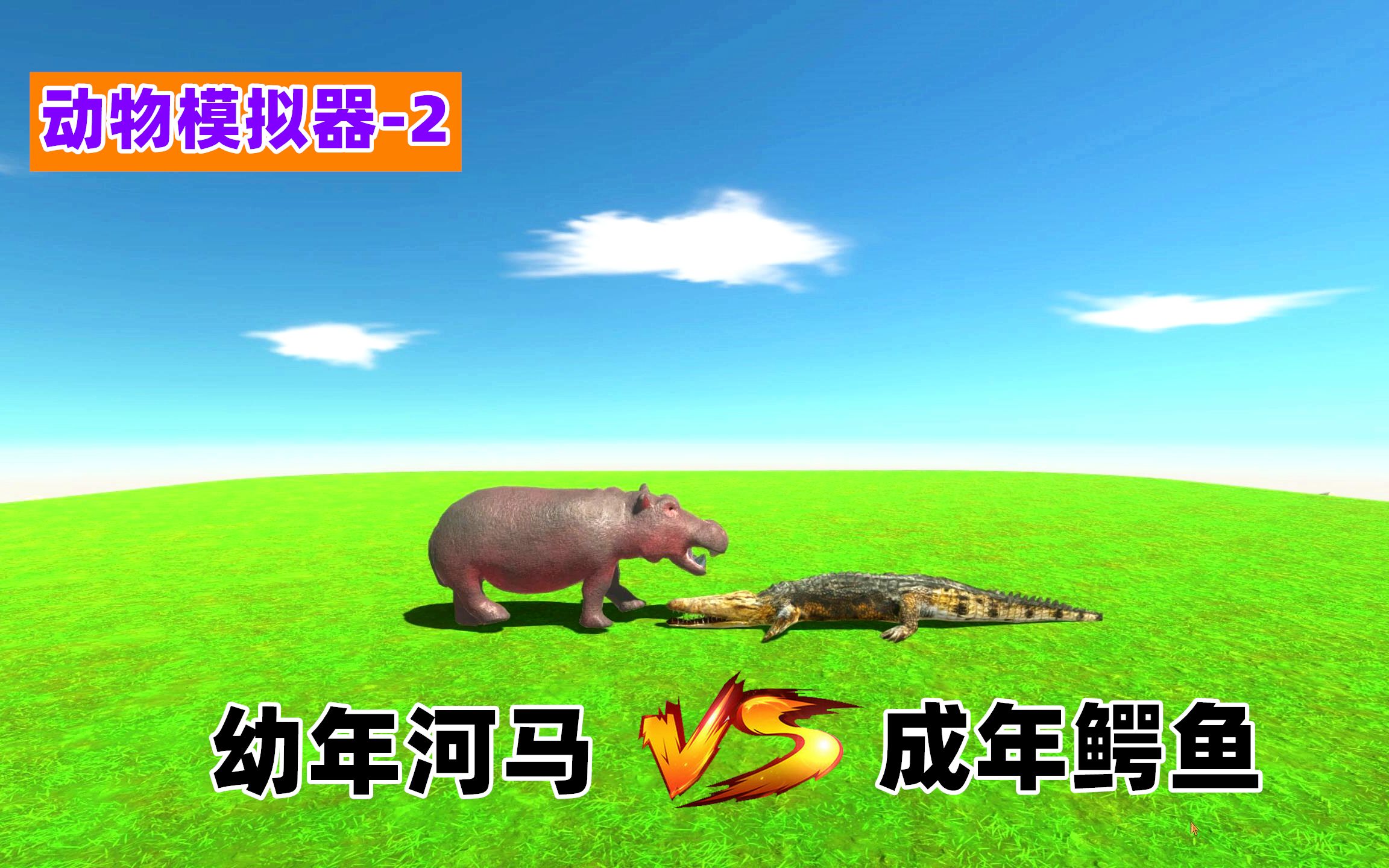 动物擂台赛02:用幼年河马VS成年鳄鱼,大家觉得谁会赢呢!