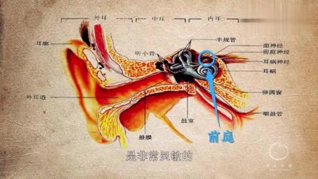 第114课：佛教宗旨之思想模型探讨 王东岳哲学系列讲座