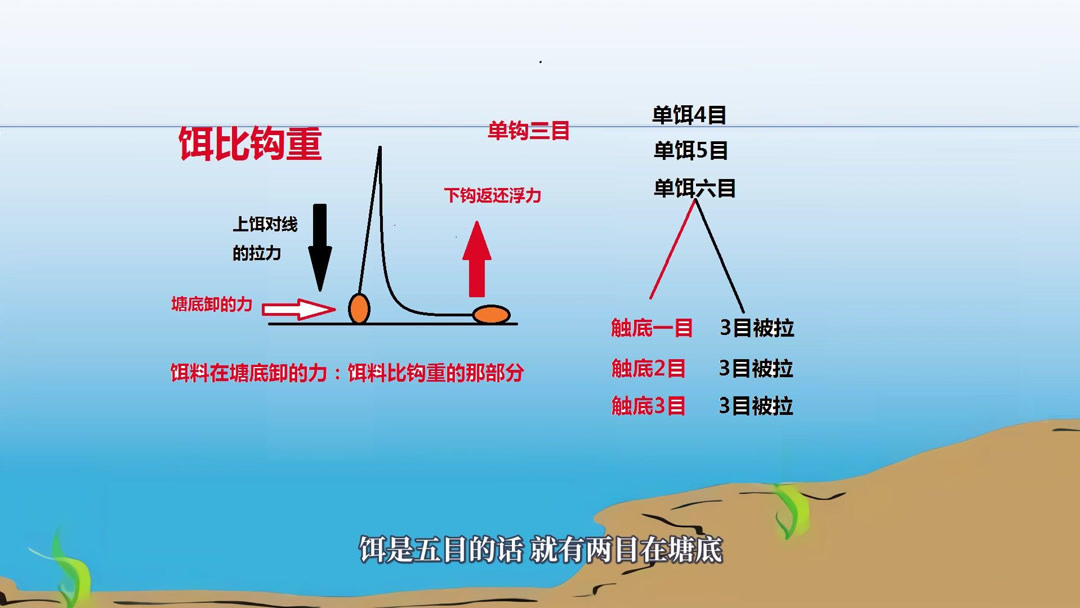 拉饵钓鲫该怎么调漂?动图详解调几钓几,自带状态稳定的野外玩法