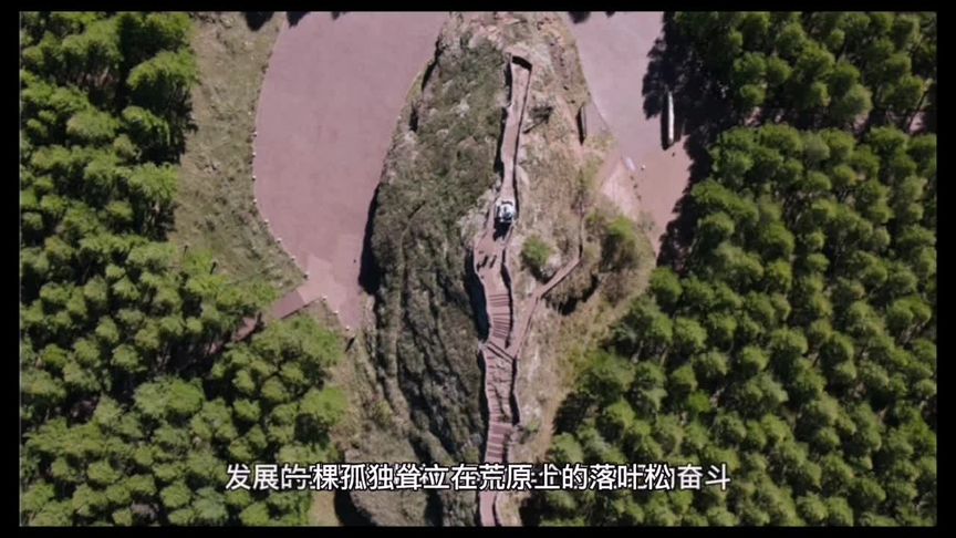 #塞罕坝 #塞罕坝国家森林公园 #塞罕坝精神 #抖音送我上热