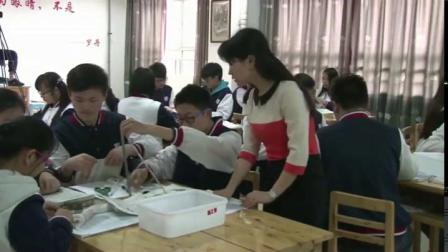 01课堂实录 稳固结构的探析 沙坪坝区 姚艳红