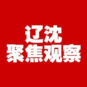 辽沈聚焦观察 