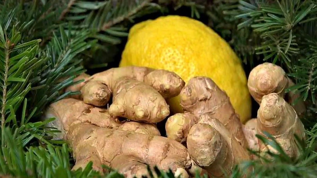 最简单种植姜方法,看一次人人都学会了,网友:原来这么简单