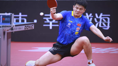 [乒乓球]樊振东:连续登顶 日臻成熟
