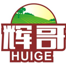 辉哥聊剧 