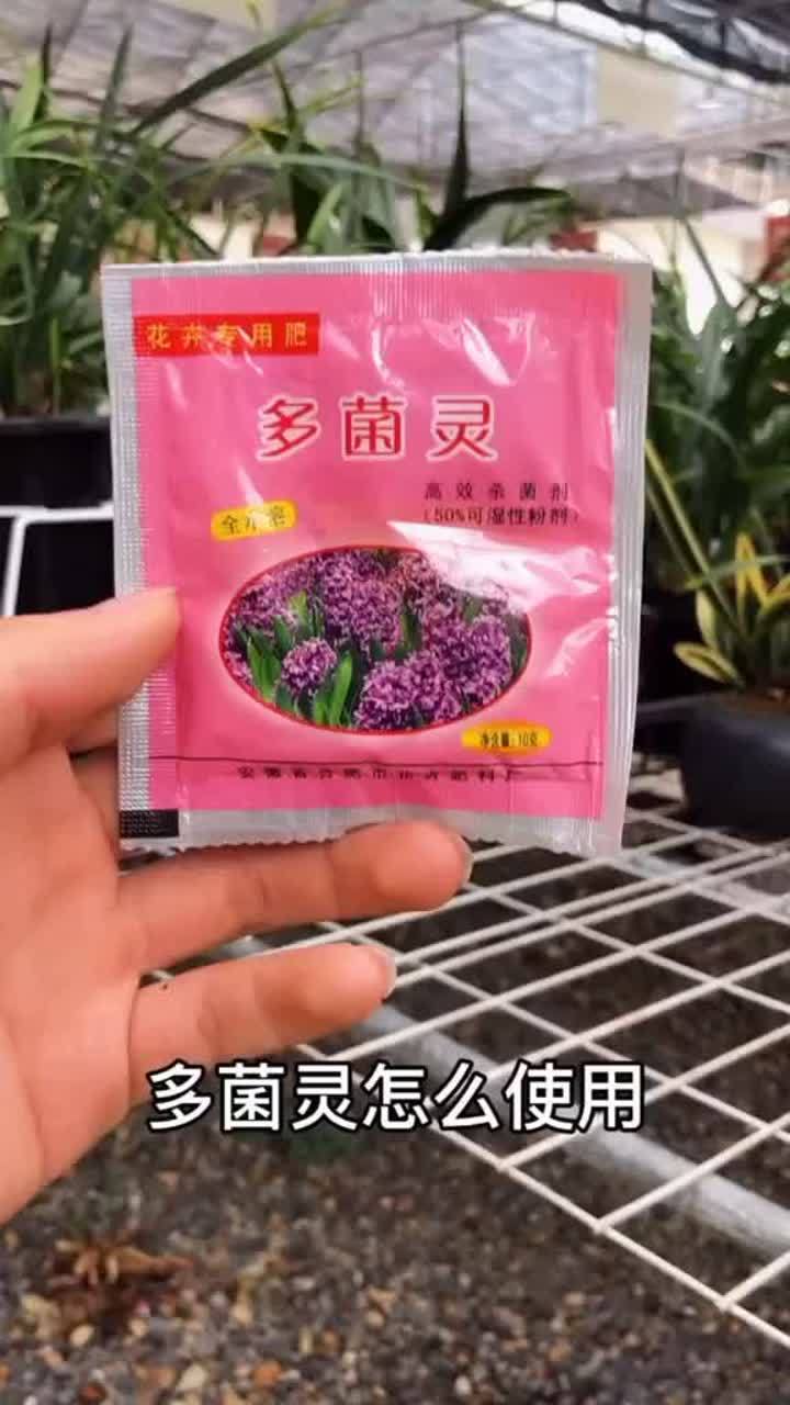 教大家如何使用多菌灵我要上热门 花卉扦插 ...