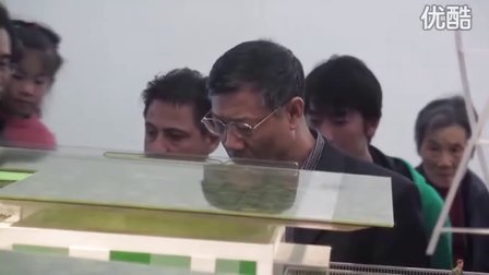 2010上海世界博览会(41)2010.10.29