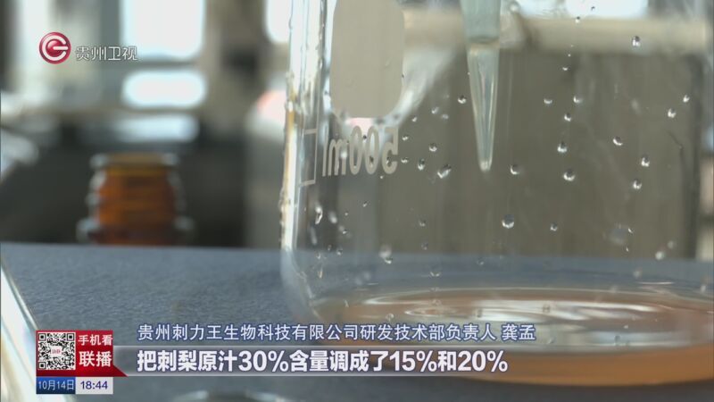 [贵州新闻联播]丰富舌尖滋味 精耕细分领域 盘州刺梨闯市场