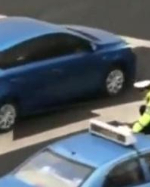 【超有爱!流浪狗闯车流被撞骨折,辅警蹲地抚摸安抚情绪】11月30日,...