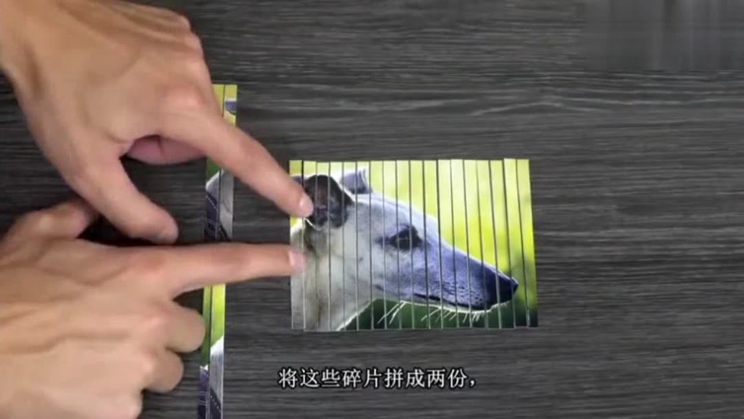 神奇的视觉错觉,一张图片竟然会变成四张一模一样的图片?