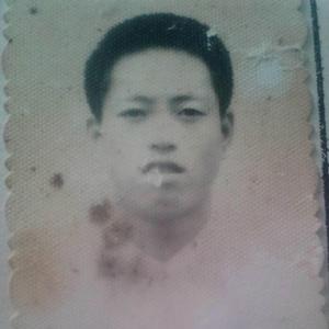 陆鱼入海 