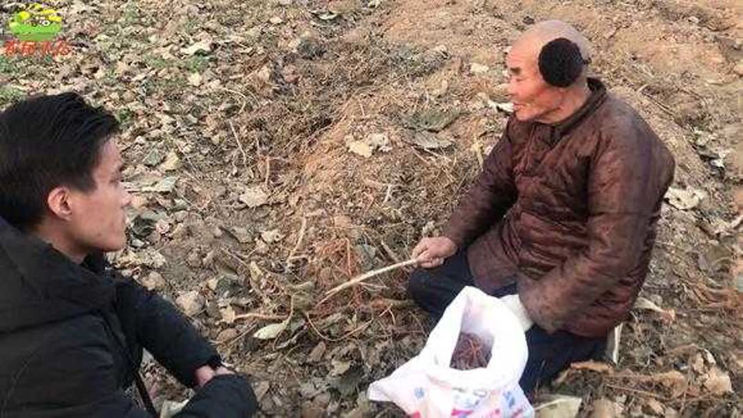 街采:土地流转对农民来说是好是坏?听农村大爷咋说,太打脸了