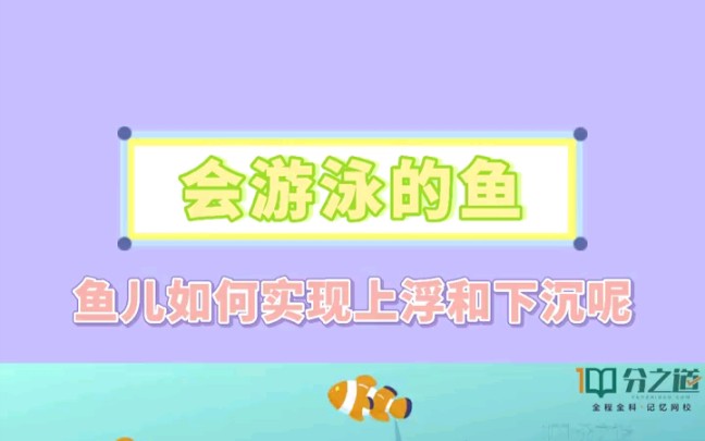 鱼儿是怎么实现上浮和下沉的呢?