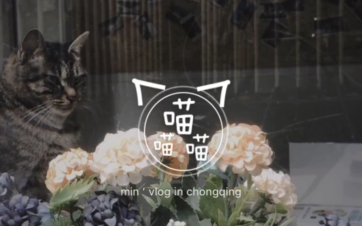 Vlog #01 重庆二厂第一支vlog 在《从你的全世界路过》拍摄地 享受...