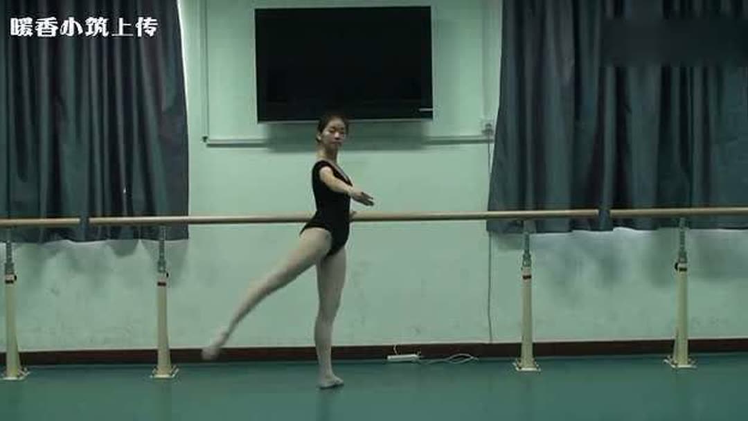 表演专业形体训练:女子古典芭蕾 基本功