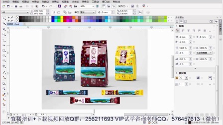 平面设计CDR X4包装实战设计理论结合篇