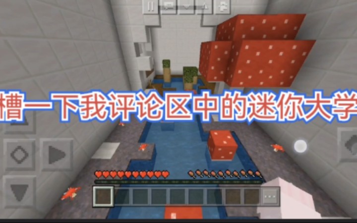 我的世界;吐槽一下我评论区中的迷你世界大学生,MC玩家进来看