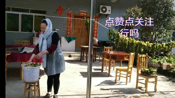 四川农村大妈晒酸菜防晒有技巧,12岁男孩看羊羔吃奶动作太搞笑
