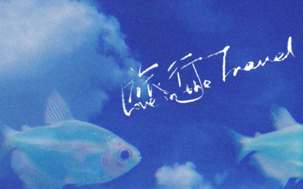 【苏新皓‖左航】改编版|旅行|原创歌曲