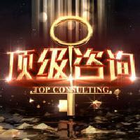 顶级咨询 