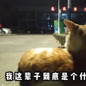 仁爱天空h 