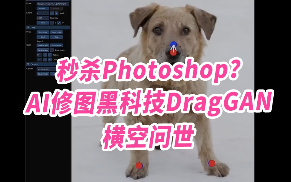 秒杀Photoshop?AI修图黑科技DragGAN横空问世