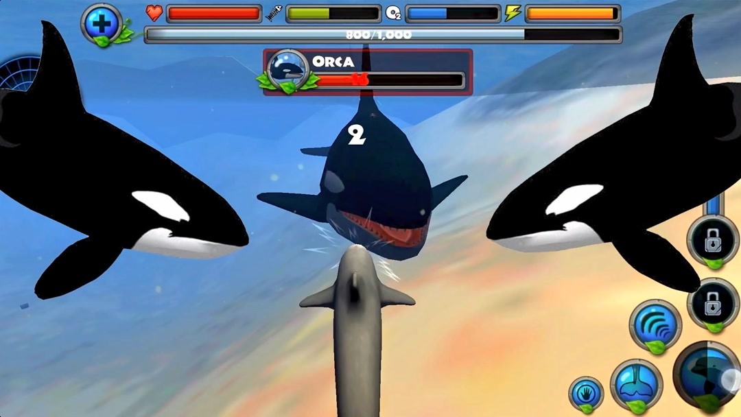 海豚模拟器 把河豚当球踢 挑战成群虎鲸的竟然是可爱的海豚