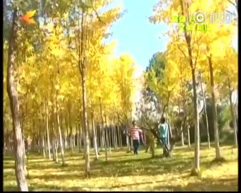 ...老师”等校内评选表彰活动,形成了教师讲好课、学生认真学良好氛围。